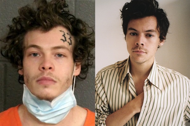 Harry Styles tem rosto comparado com criminoso preso após agredir ...