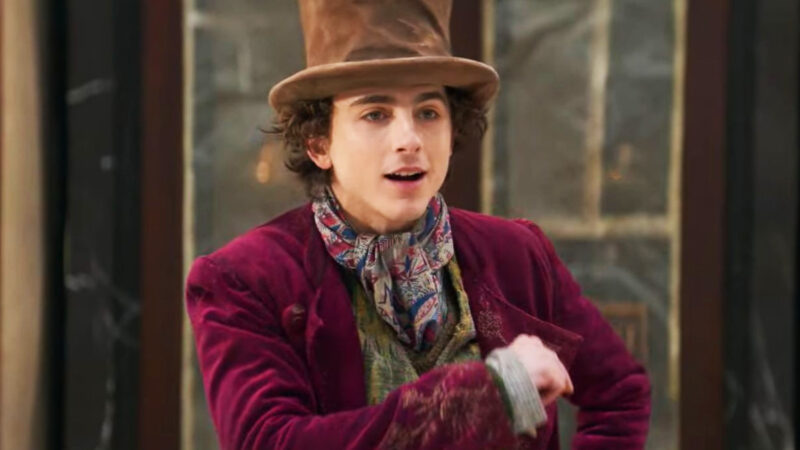 “Wonka”: protagonizado por Timothée Chalamet, filme prequel de Willy ...